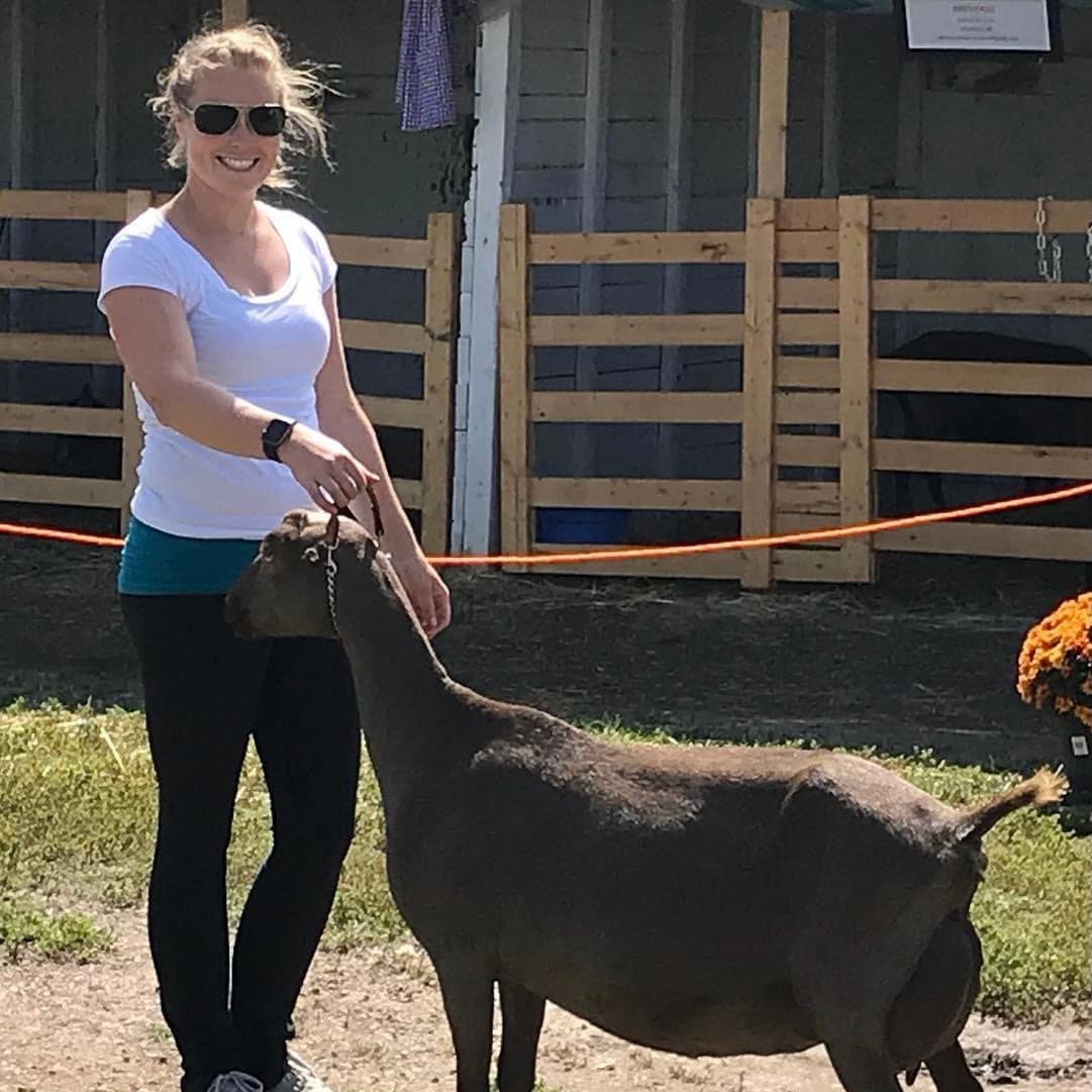 Farm Forward 2025 — Farmfair Explore Edmonton