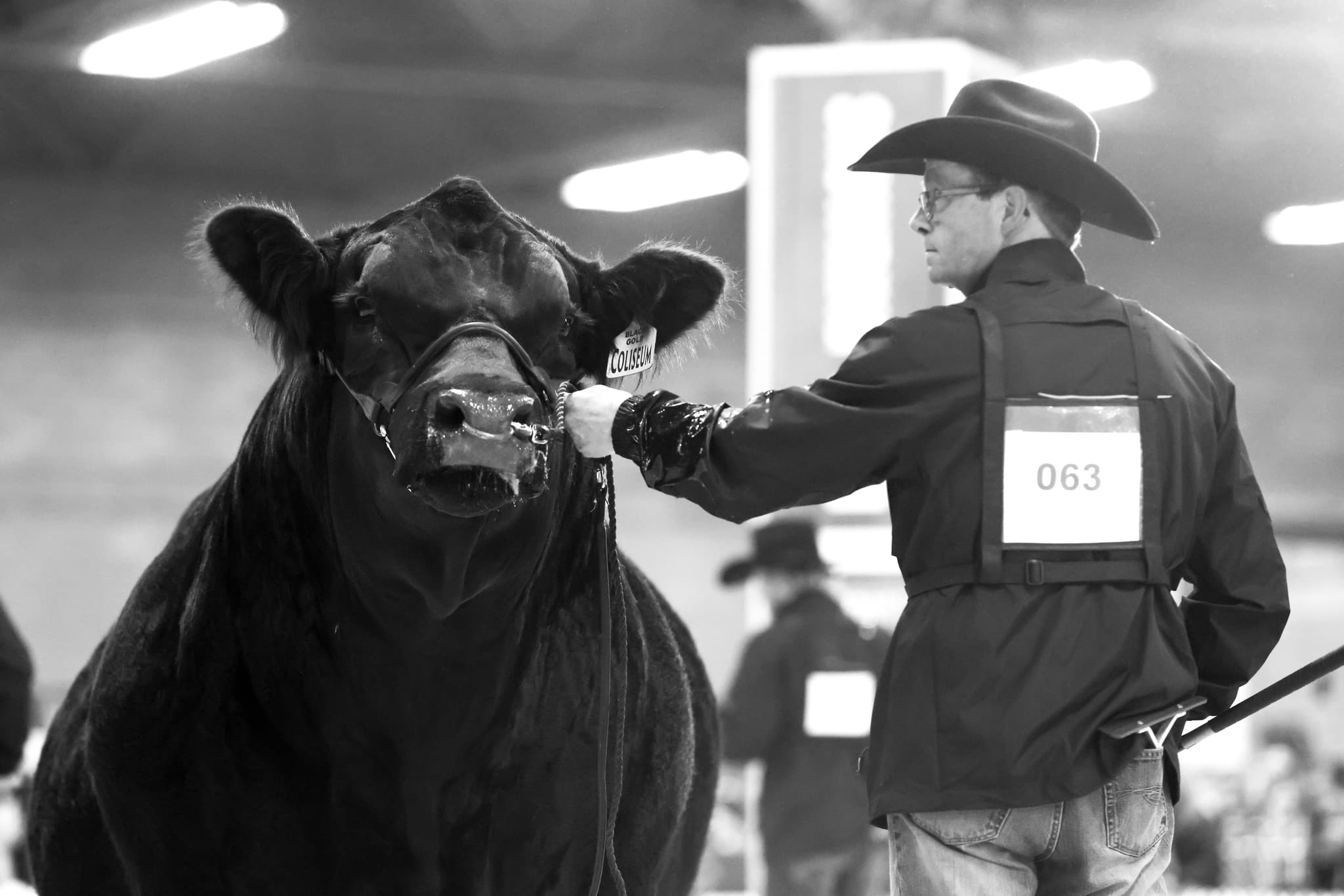 Farmfair International 2025 |Canada’s Premier Agricultural Showcase ...